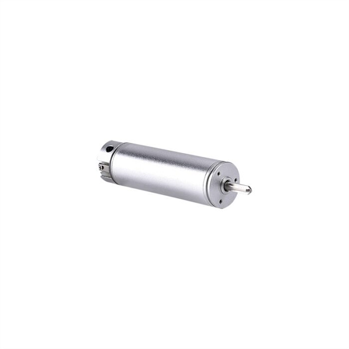 Small Brushless DC Motor