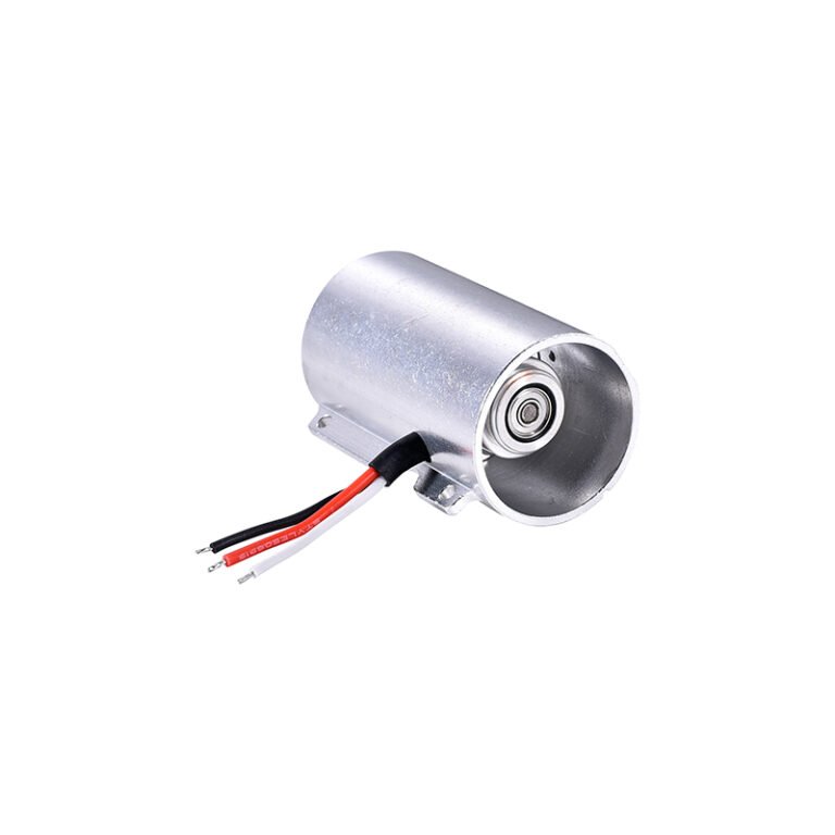 DC Motors Product Guide: Small Gear Motor, Smallest BLDC Motor| INEED ...