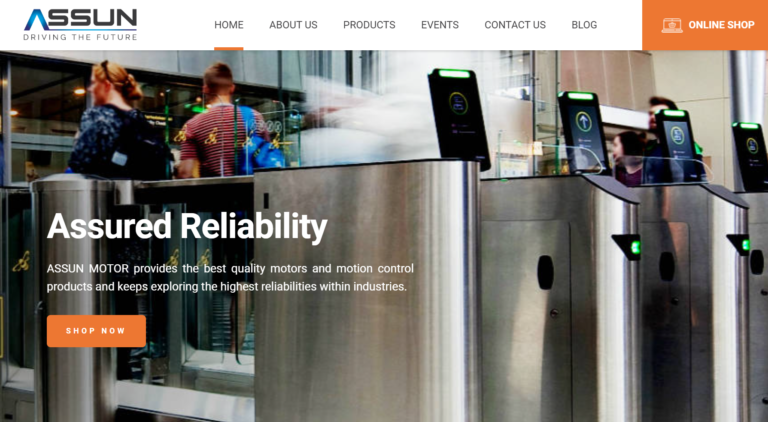 TOP 8 BLDC Motor Manufactures In The World